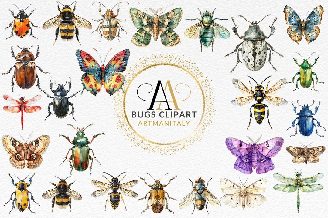 Watercolor Bugs Clipart, Antique Insect Clip Art Scientific ...