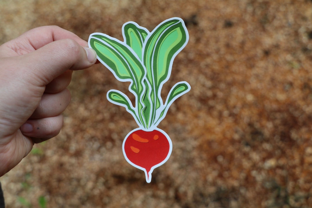 Radish, Weatherproof Vinyl Sticker - Etsy