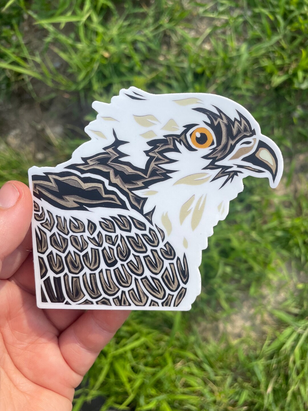 Osprey, Weatherproof Vinyl Sticker - Etsy