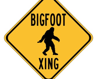 Xing Street Sign - Etsy