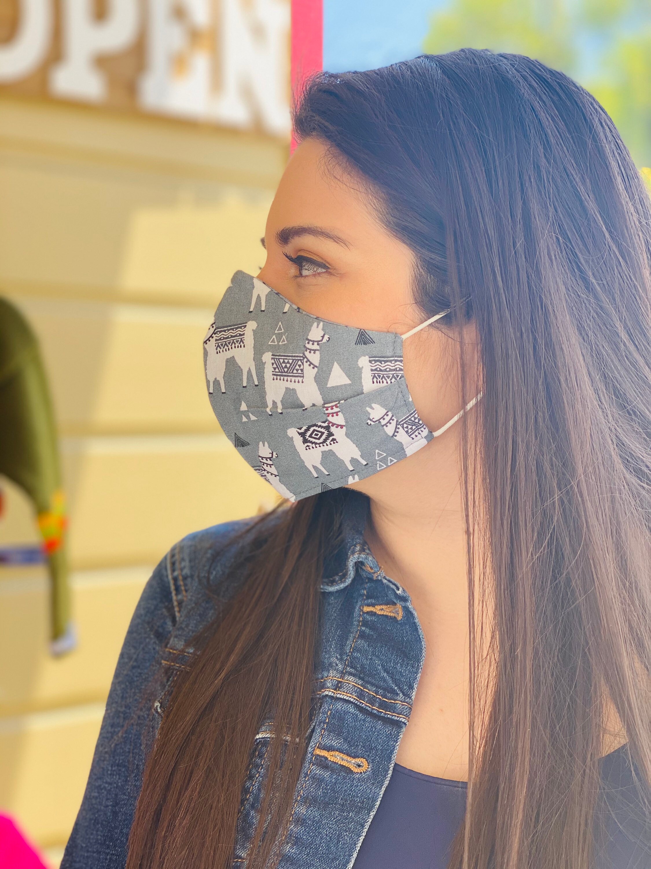 Reusable Llama Face Mask with Nose Wire