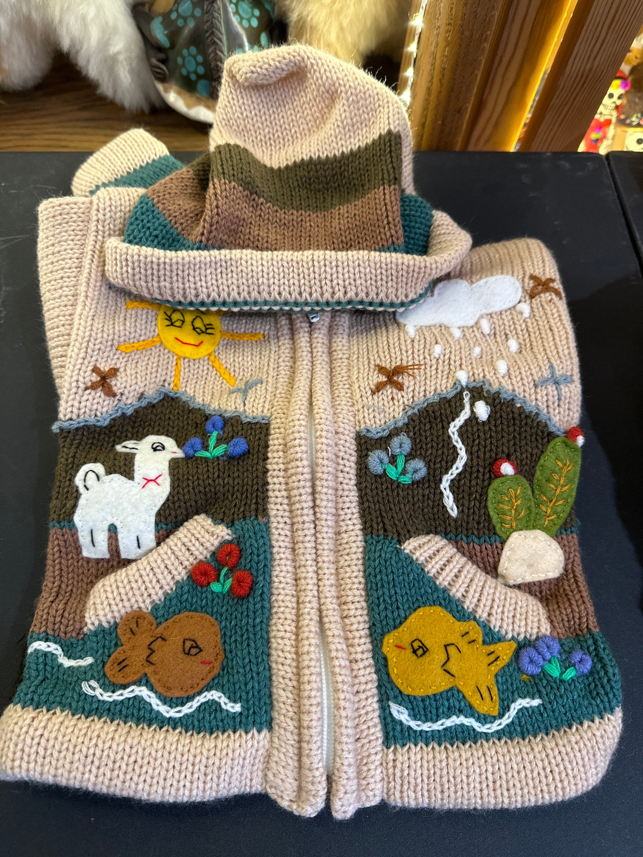 Children Hand Made Sweater With Hand Embroidered With Hooded - Etsy