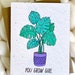 Plantable Congratulations Card Funny Encouragement Card Plant Gift Best ...