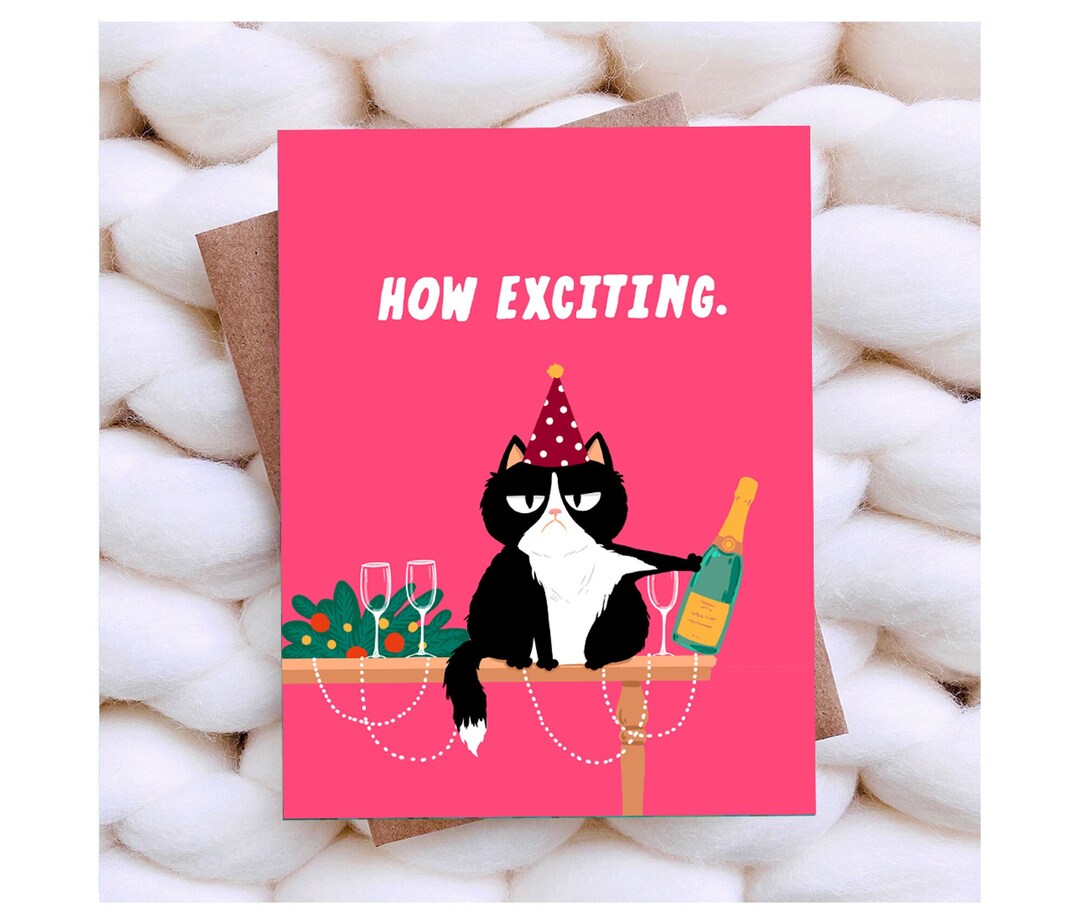 funny-cat-birthday-card-funny-congratulations-card-sarcastic-expecting