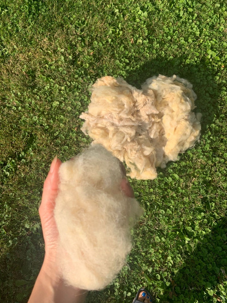8oz 100% Natural Sheep Wool Hand Washed - Very Soft - Long Fibers - Etsy