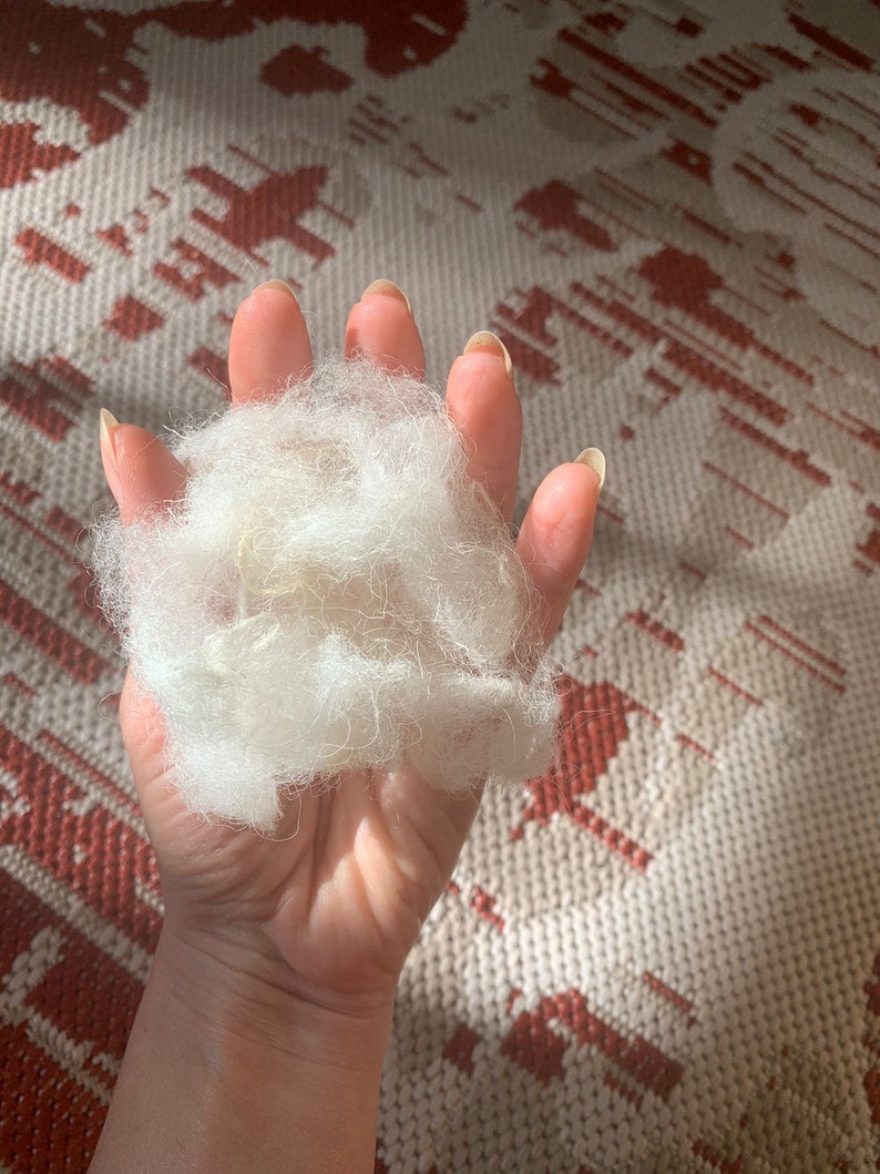 8oz 100% Natural Sheep Wool Hand Washed - Very Soft - Long Fibers - Etsy