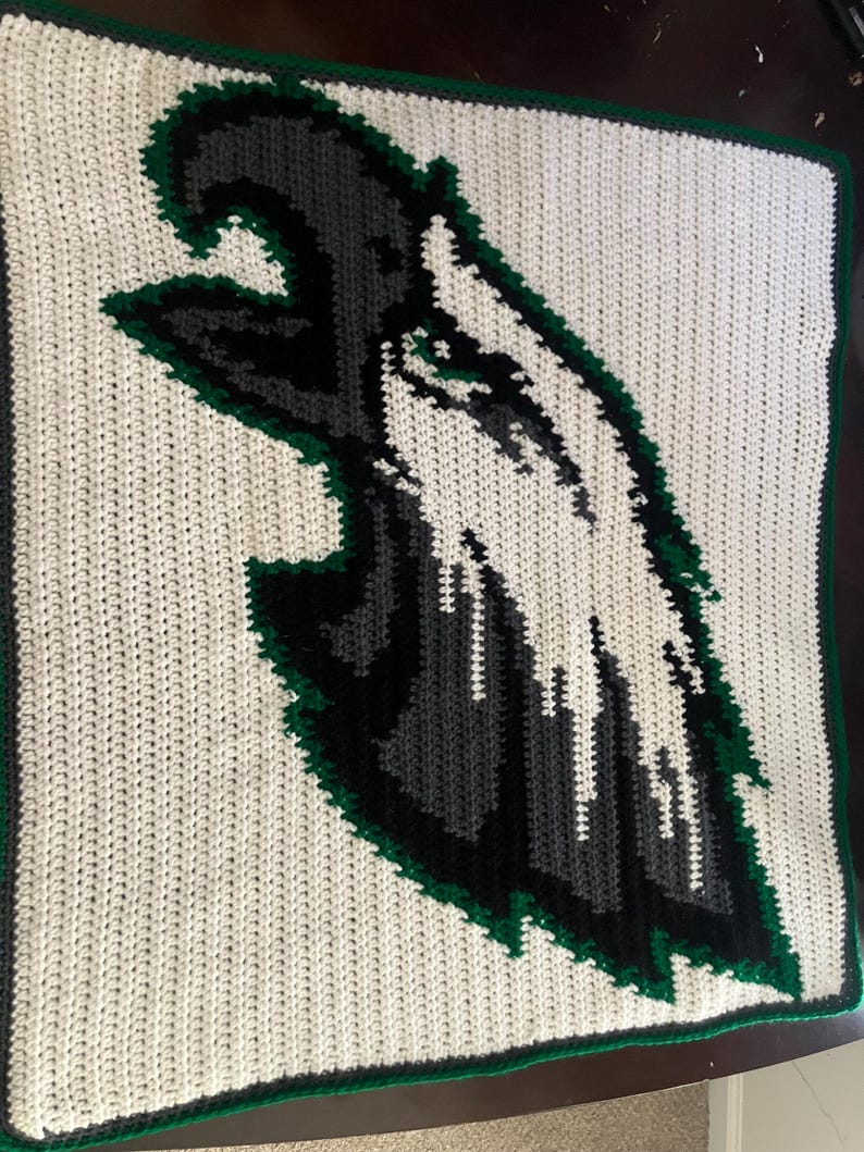 Philadelphia Eagles GRAPH & WRITTEN Pattern - Baby Blanket - Etsy