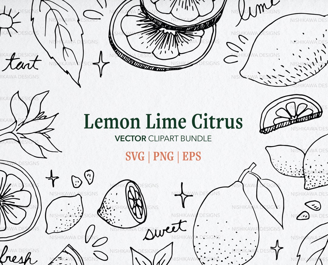 Doodle Style Lemon Lime Citrus Clipart Set. Summer Line Illustrations ...