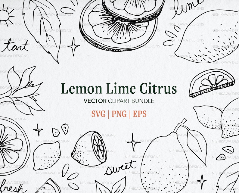 Doodle Style Lemon Lime Citrus Clipart Set. Summer Line Illustrations ...
