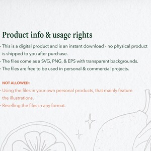 Doodle Style Lemon Lime Citrus Clipart Set. Summer Line Illustrations ...