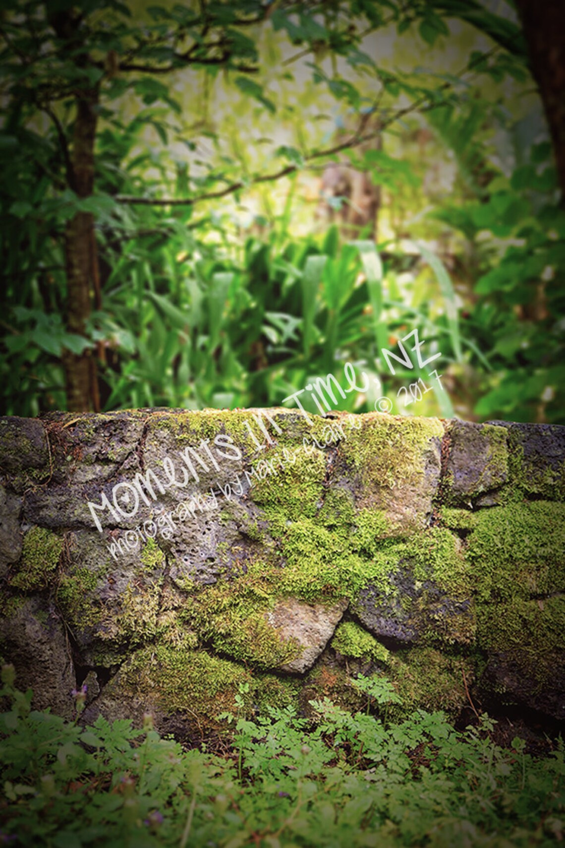 MIT Mossy Wall Digital Background | Etsy