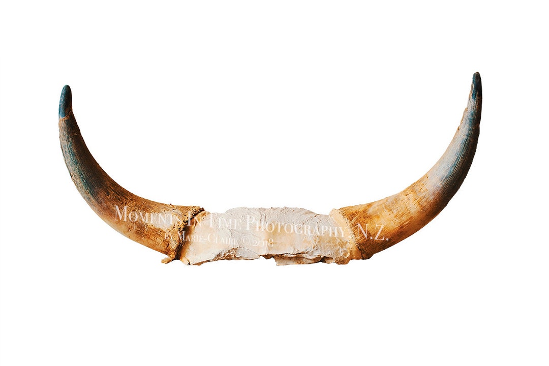 MIT Horns Digital Overlay - Etsy