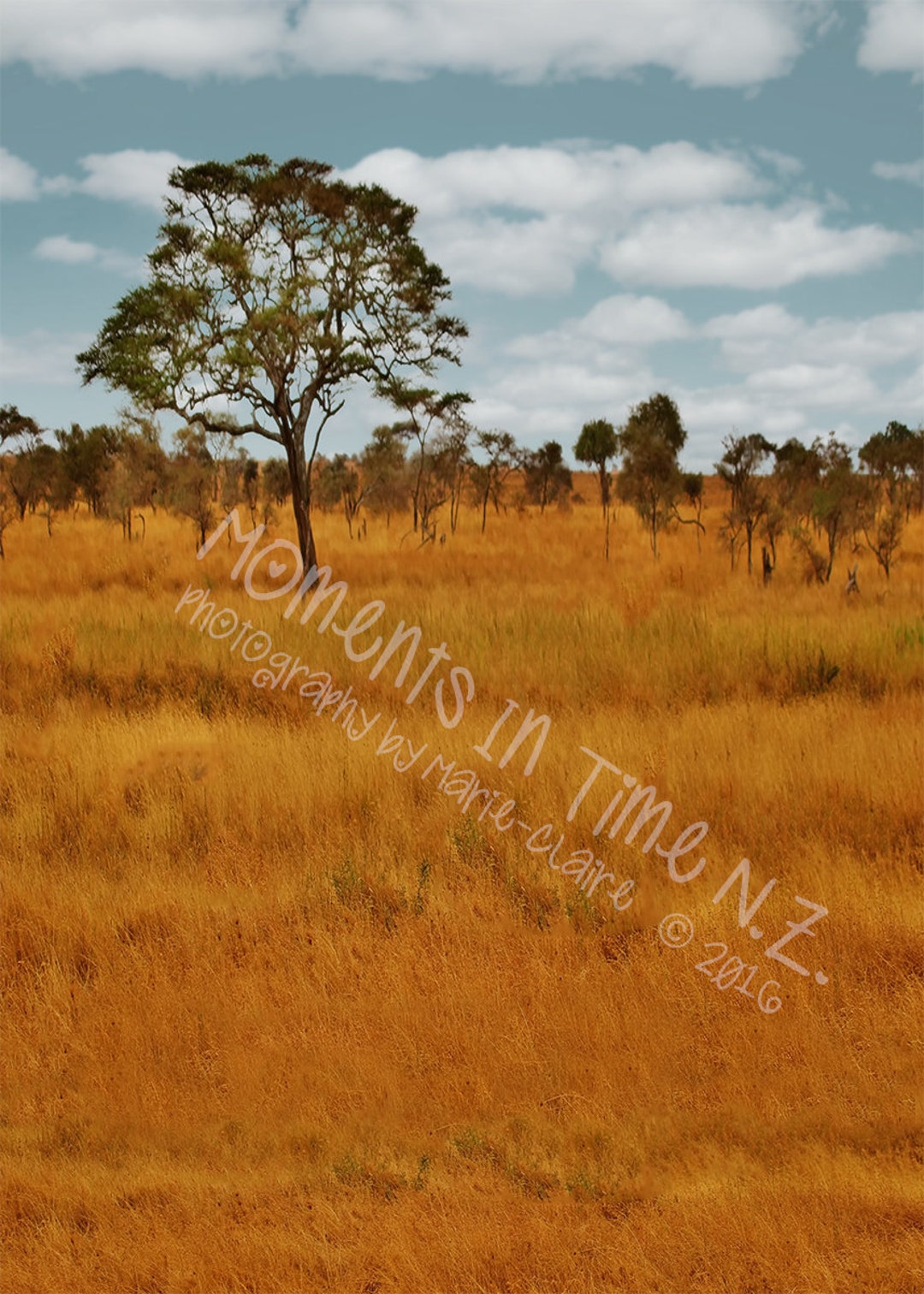 MIT African Landscape Digital Background - Etsy