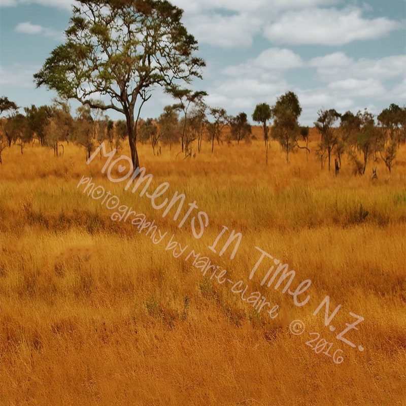 African Backdrop - Etsy