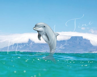 Dolphin Overlay Png - Etsy