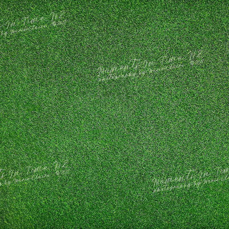 Grass Wall Backdrop - Etsy