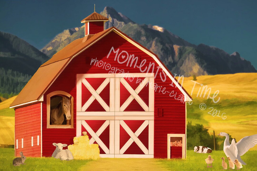 Moments in Time Barnyard Themed Backdrop - Etsy