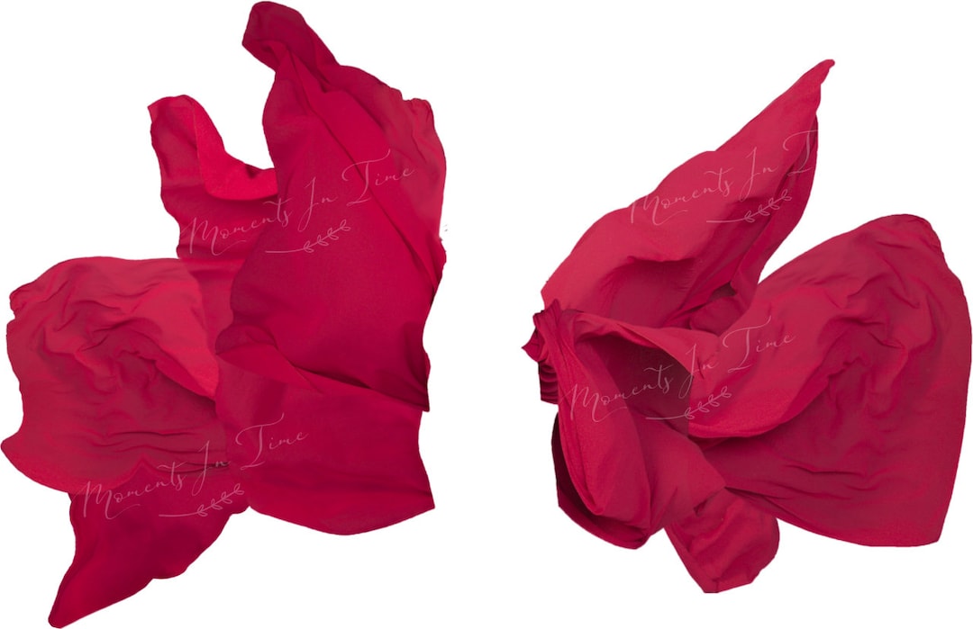 MIT Flying Red Fabric for Gown Add on Digital Overlay - Etsy