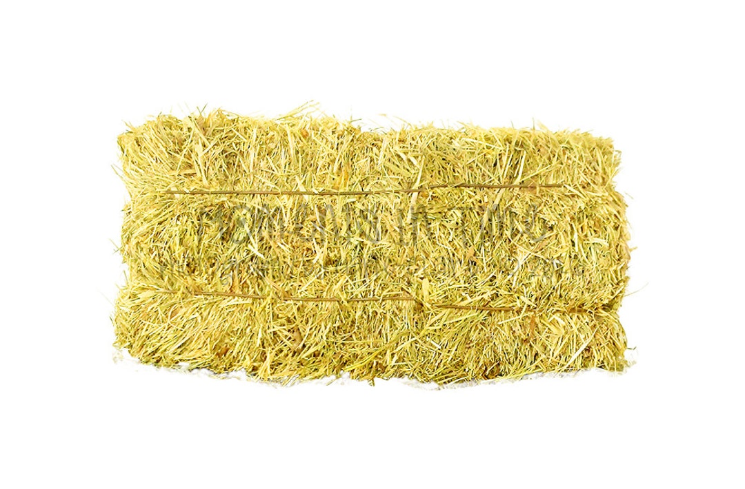 Moments in Time Hay Bale Digital Overlay - Etsy