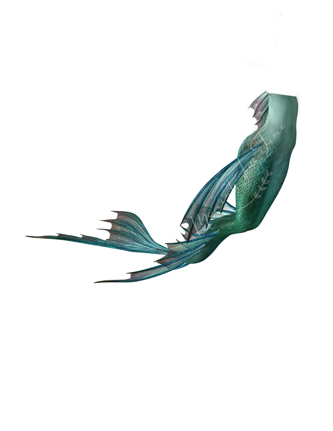 MIT Mermaid Tails Pack of 2 Digital Overlays | Etsy