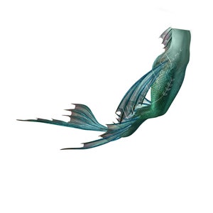 MIT Mermaid Tails (pack of 2) Digital Overlays - Etsy