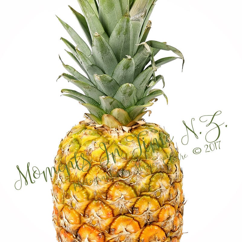 Pineapple Backdrop - Etsy
