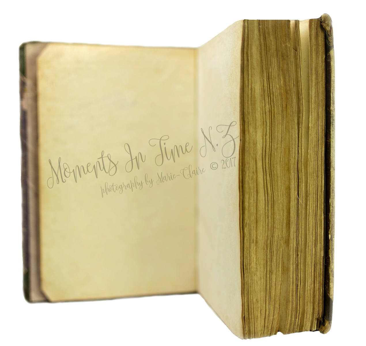 MIT Old Open Book Digital Overlay | Etsy