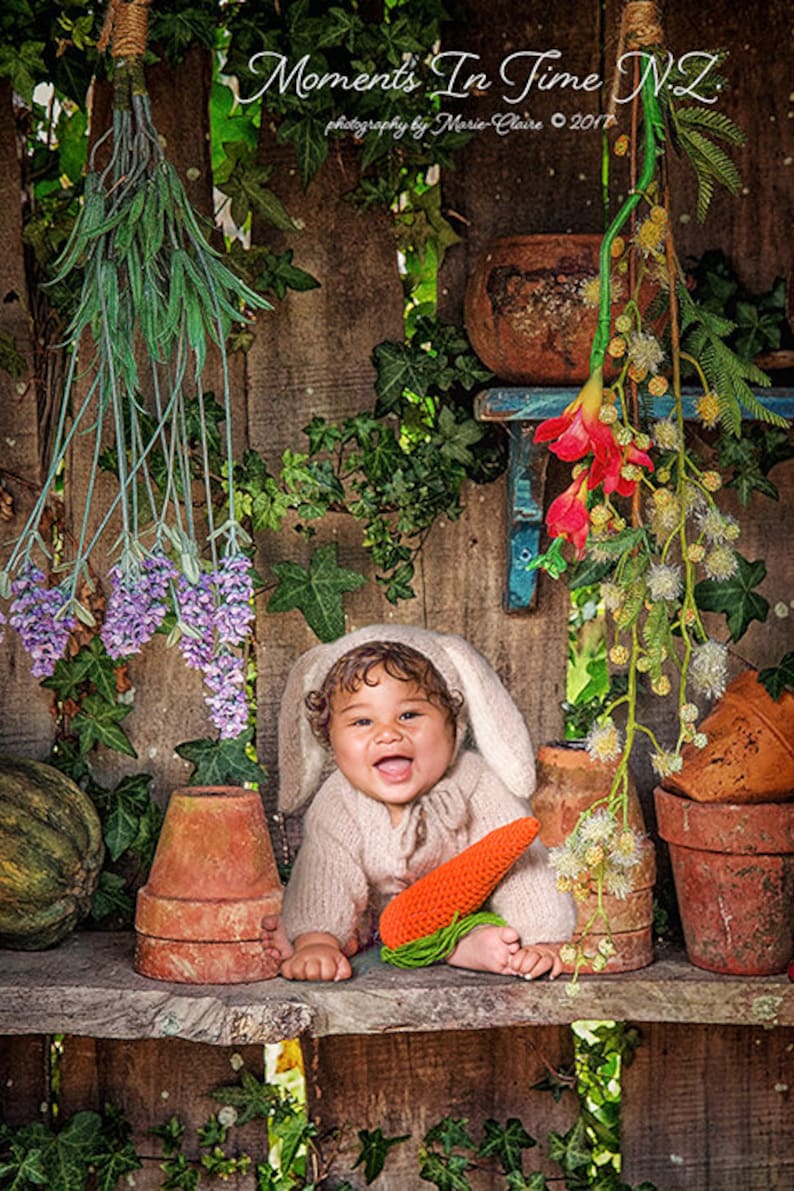 MIT Peter Rabbit Garden Pot Shelf Digital Background - Etsy