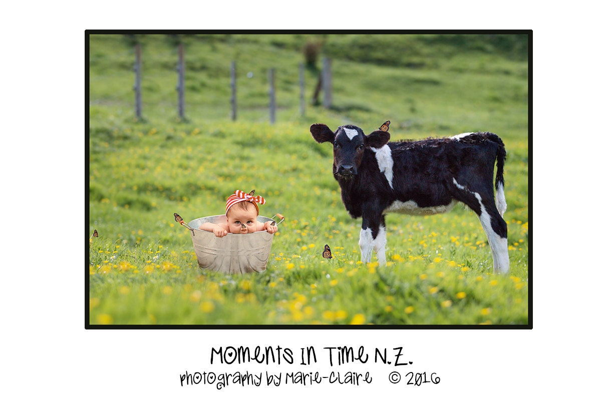 MIT 3 for 1 Springtime Buttercup Field Calf Digital | Etsy