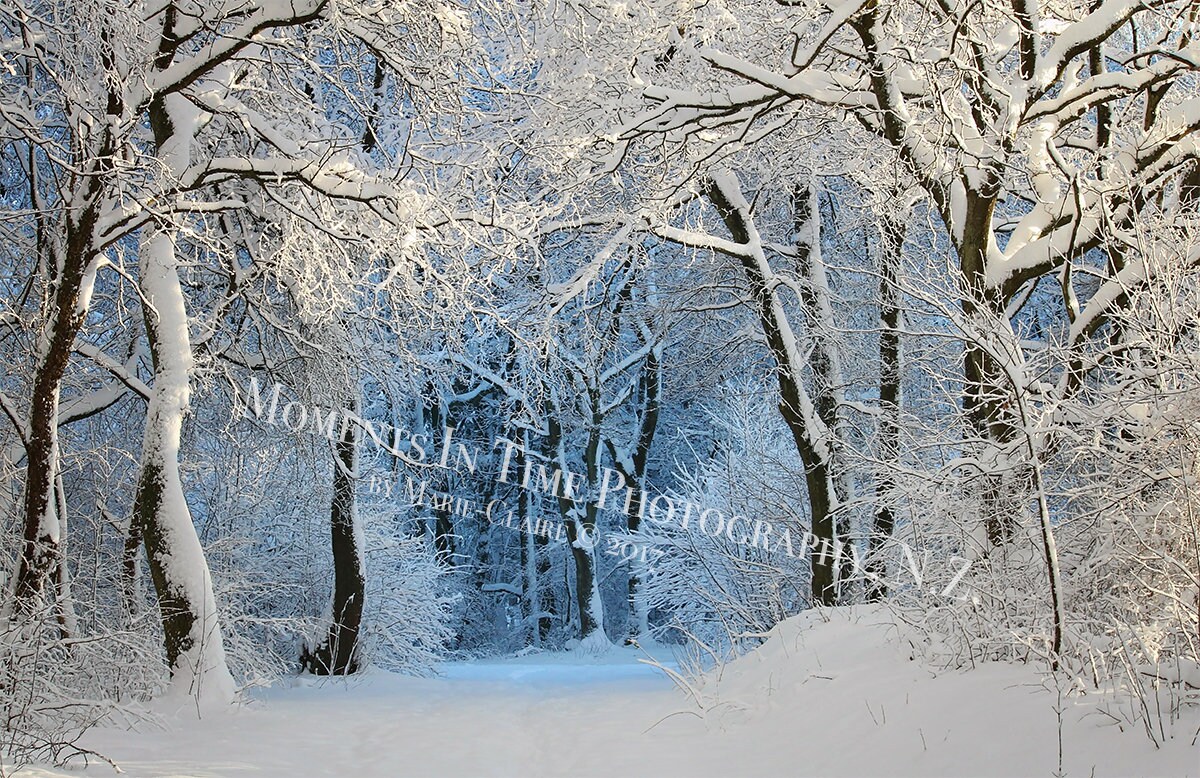 Whimsical Winter Backgrounds