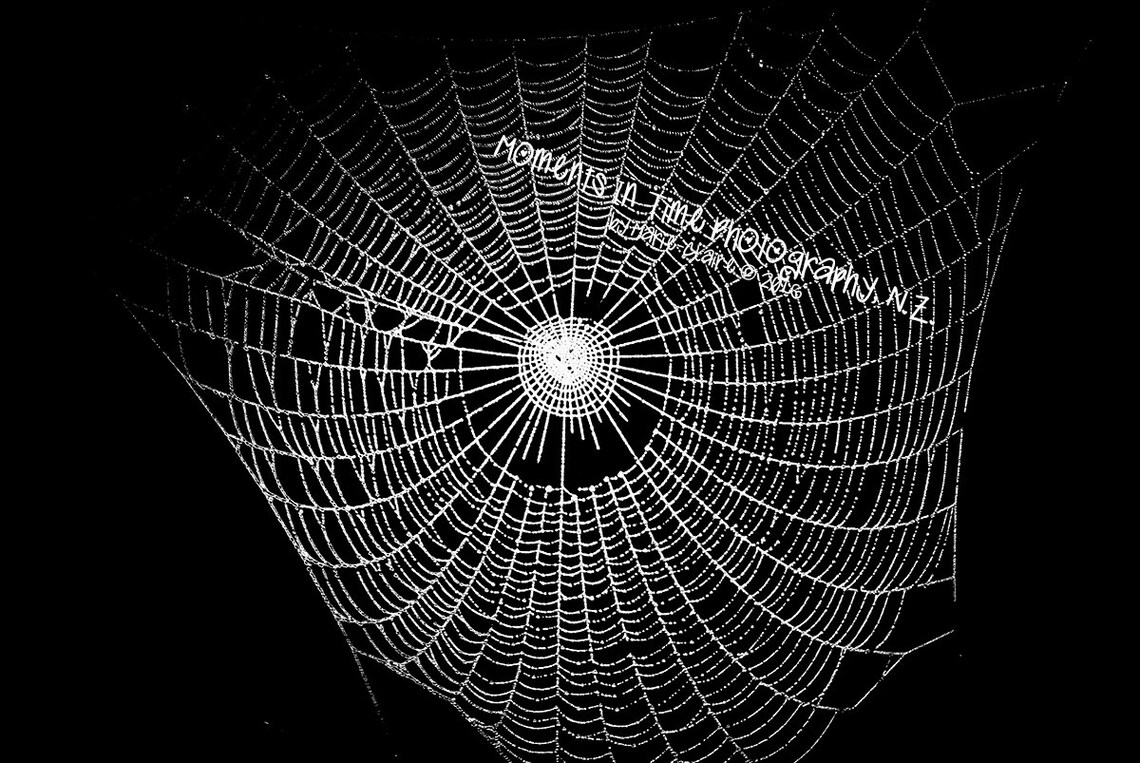 MIT 2x Spiderweb Overlay - Etsy