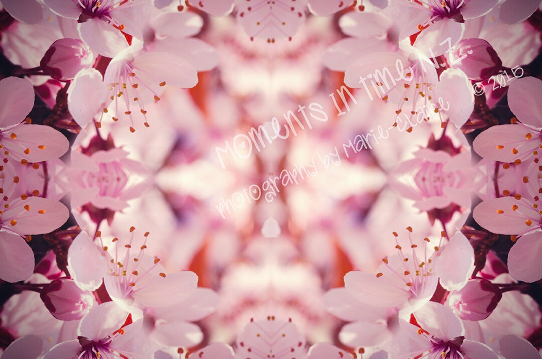 Blossom Overlay Texture - Etsy