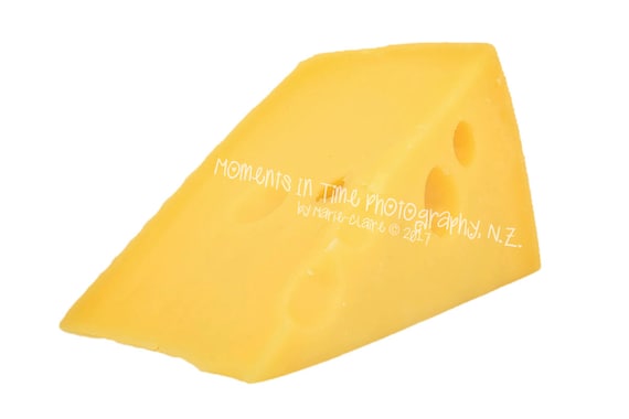 MIT Chunk of Swiss Cheese Digital Overlay | Etsy