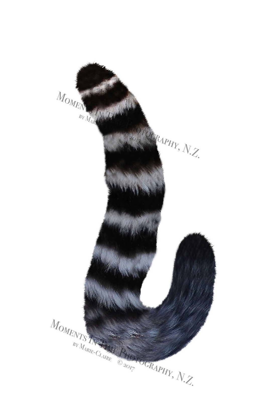 MIT Fluffy Tail Digital Overlay - Etsy