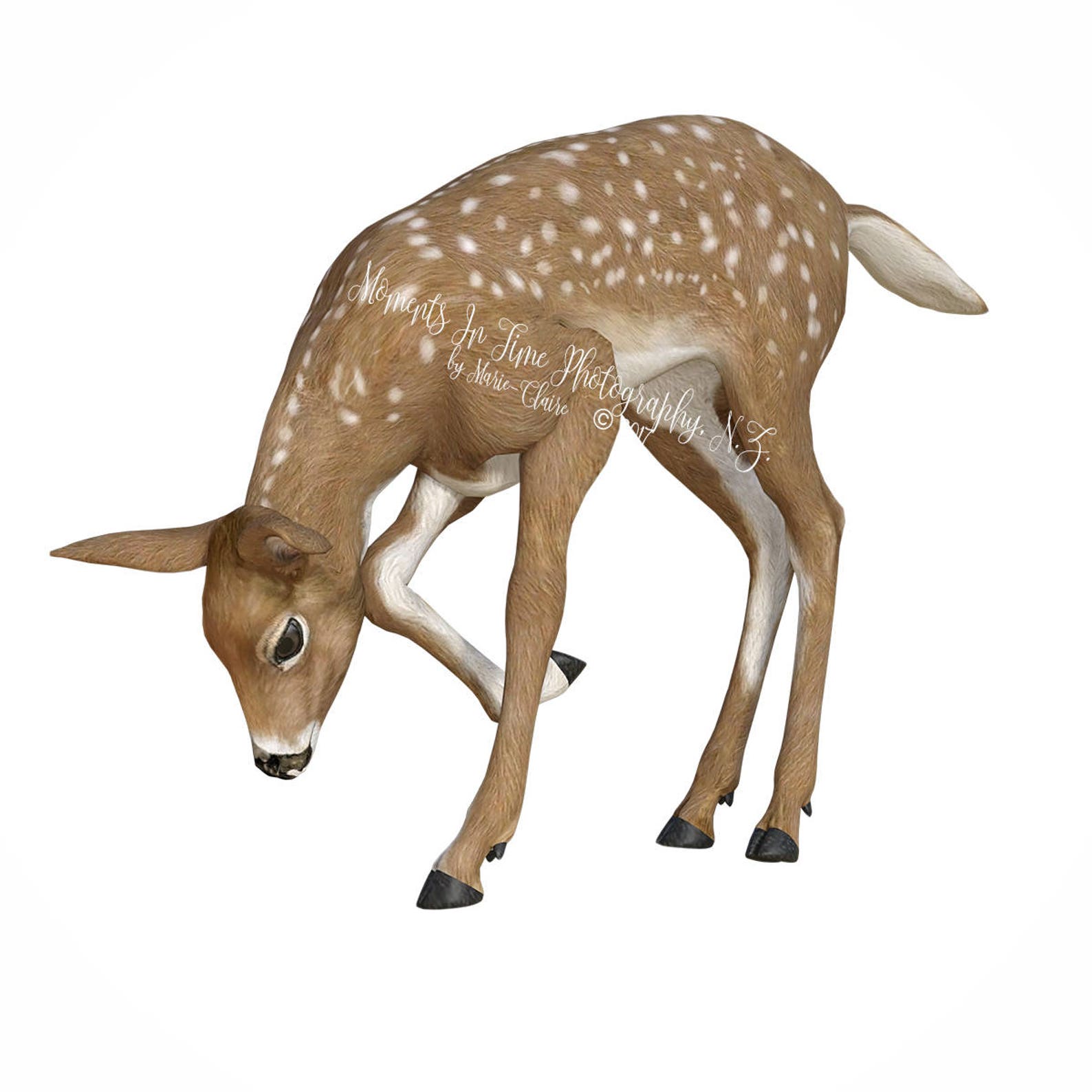 MIT Painted Fawn Digital Overlay - Etsy