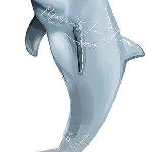 MIT Dolphin Digital Overlay (png File) - Etsy
