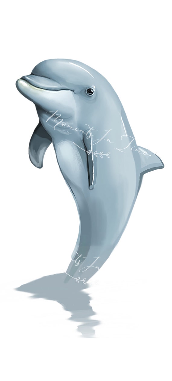 MIT Dolphin Digital Overlay png File - Etsy