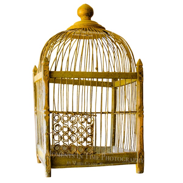 Bird Cage Clipart - Etsy