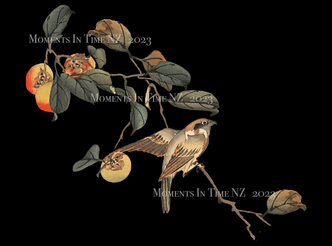 MIT Vintage Japanese Art Digital Overlay - Etsy