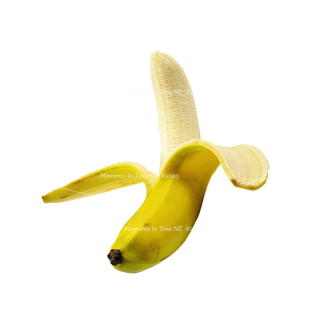 MIT Open Banana Digital Overlay - Etsy