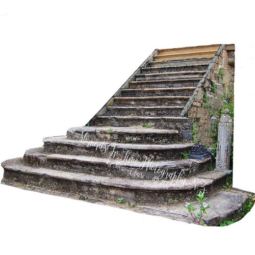 MIT Circus Podium Step Digital Overlay - Etsy