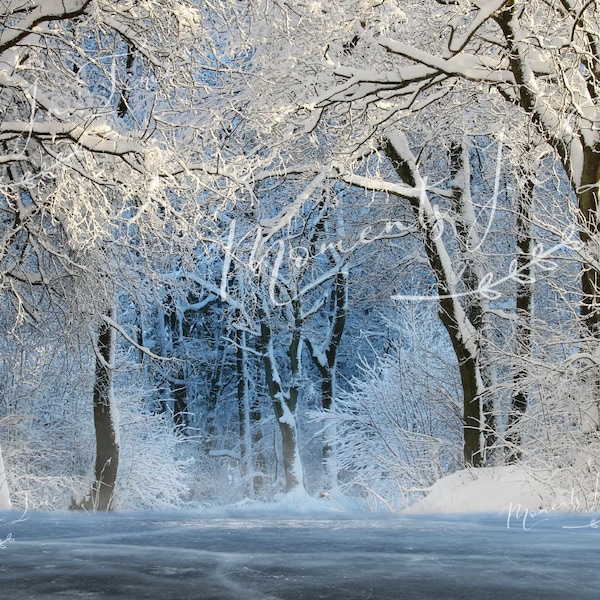 Frozen Backdrop - Etsy