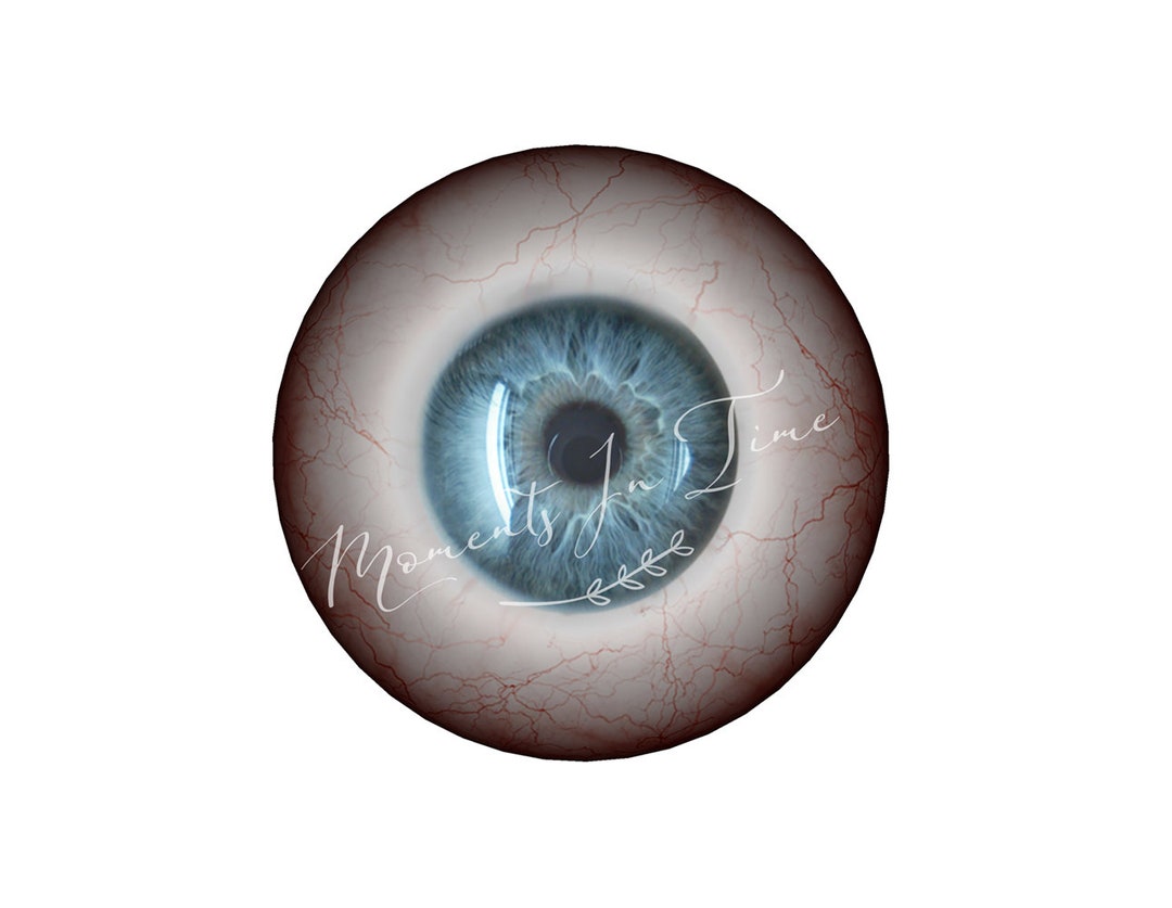 MIT Pack of 2 Giant Eyeballs - Etsy