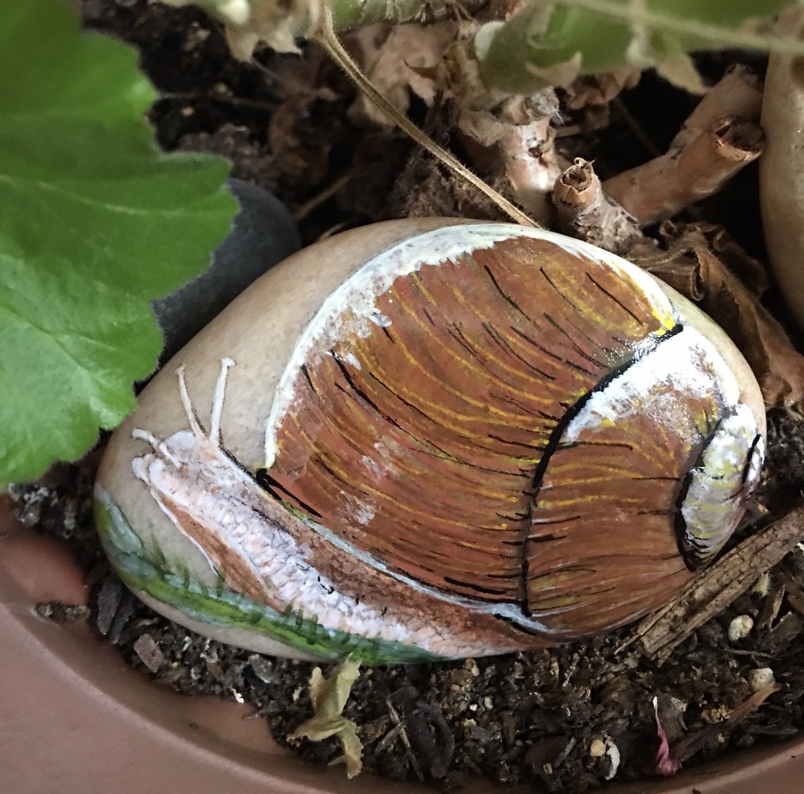 Hand Painted Garden Snail Stone - Etsy