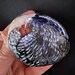 Hand Painted Thanksgiving Turkey Stone - Etsy