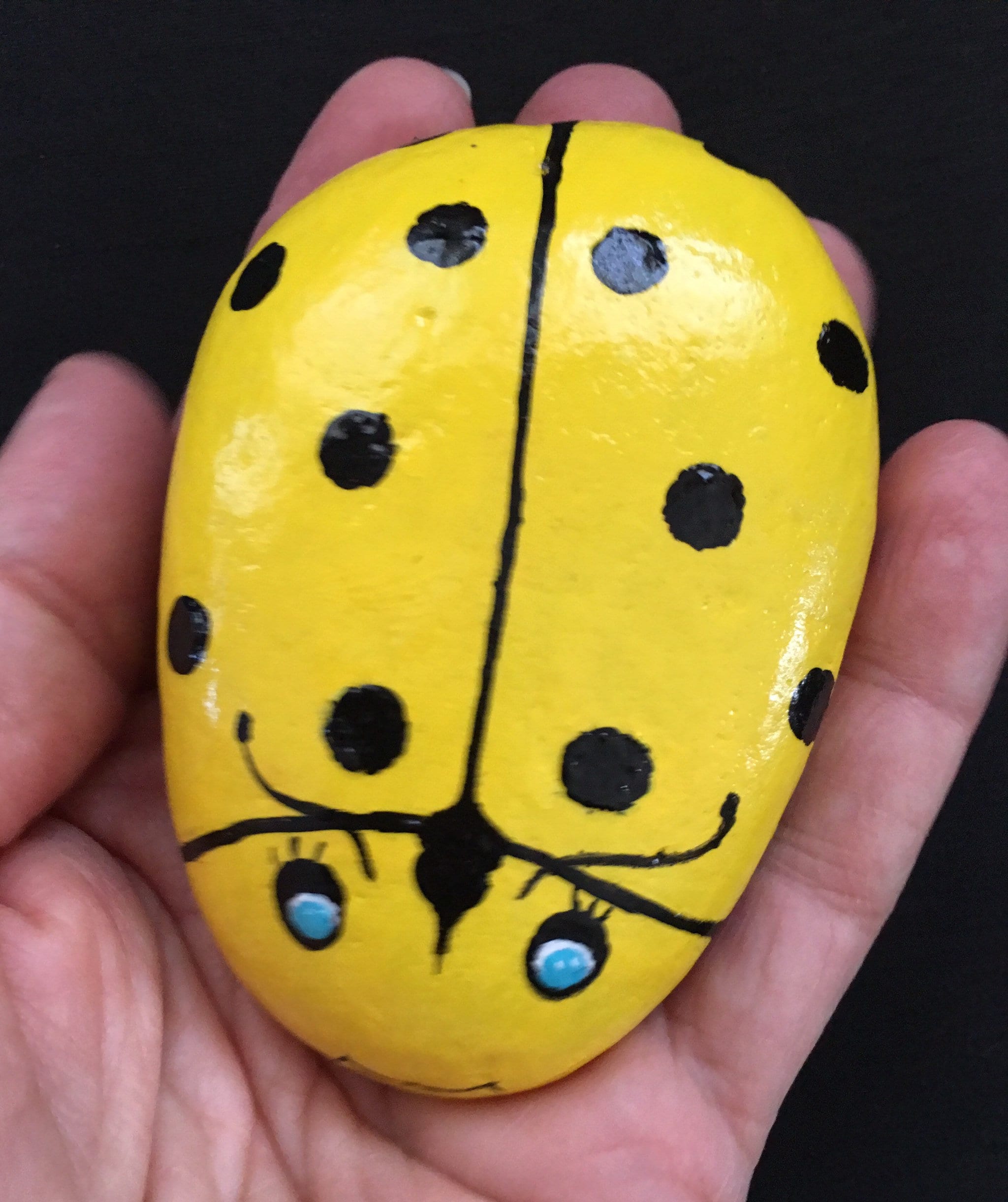 Cute Hand Painted Yellow Beetle Insect Stone - Etsy