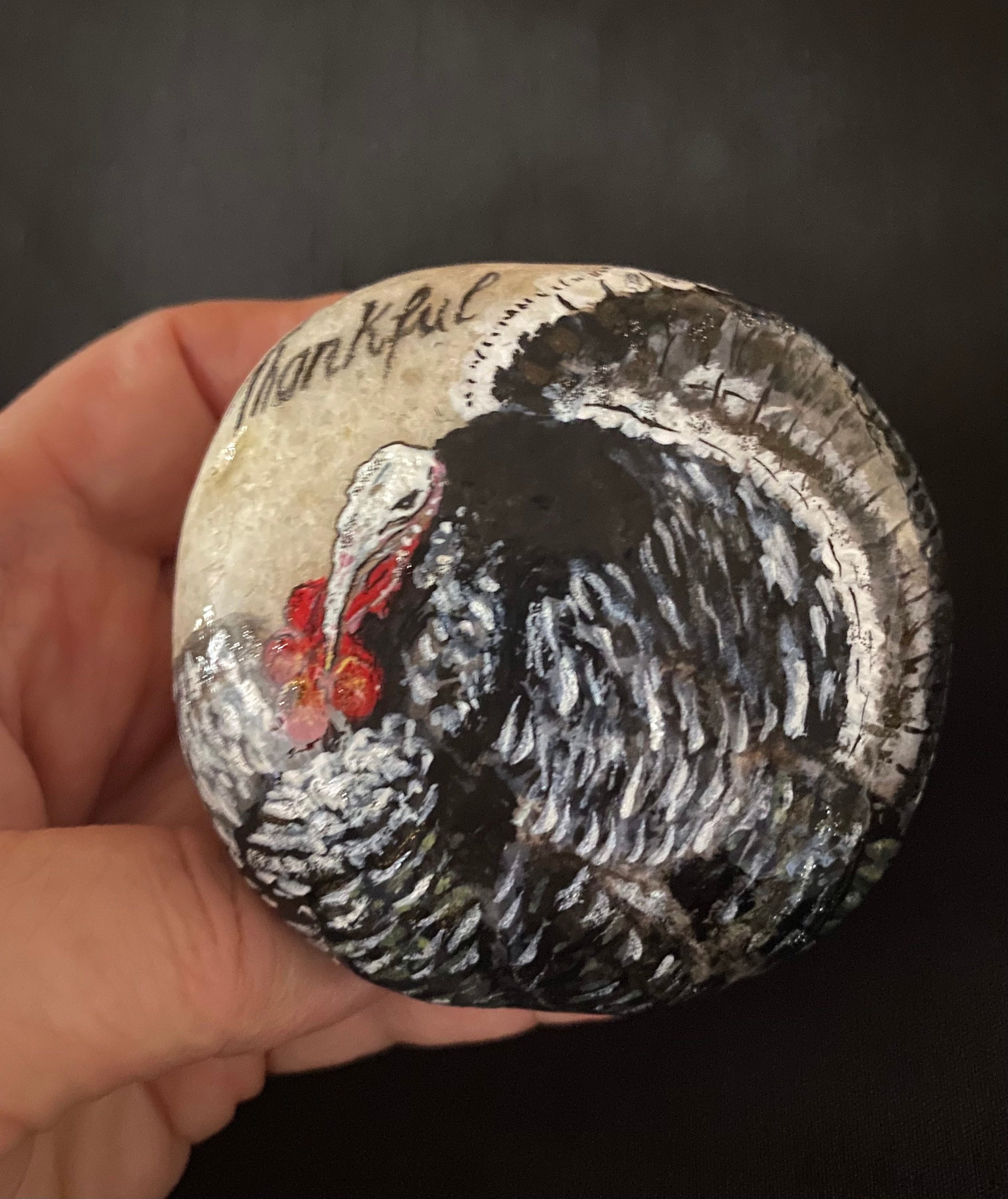 Hand Painted Thanksgiving Turkey Stone - Etsy