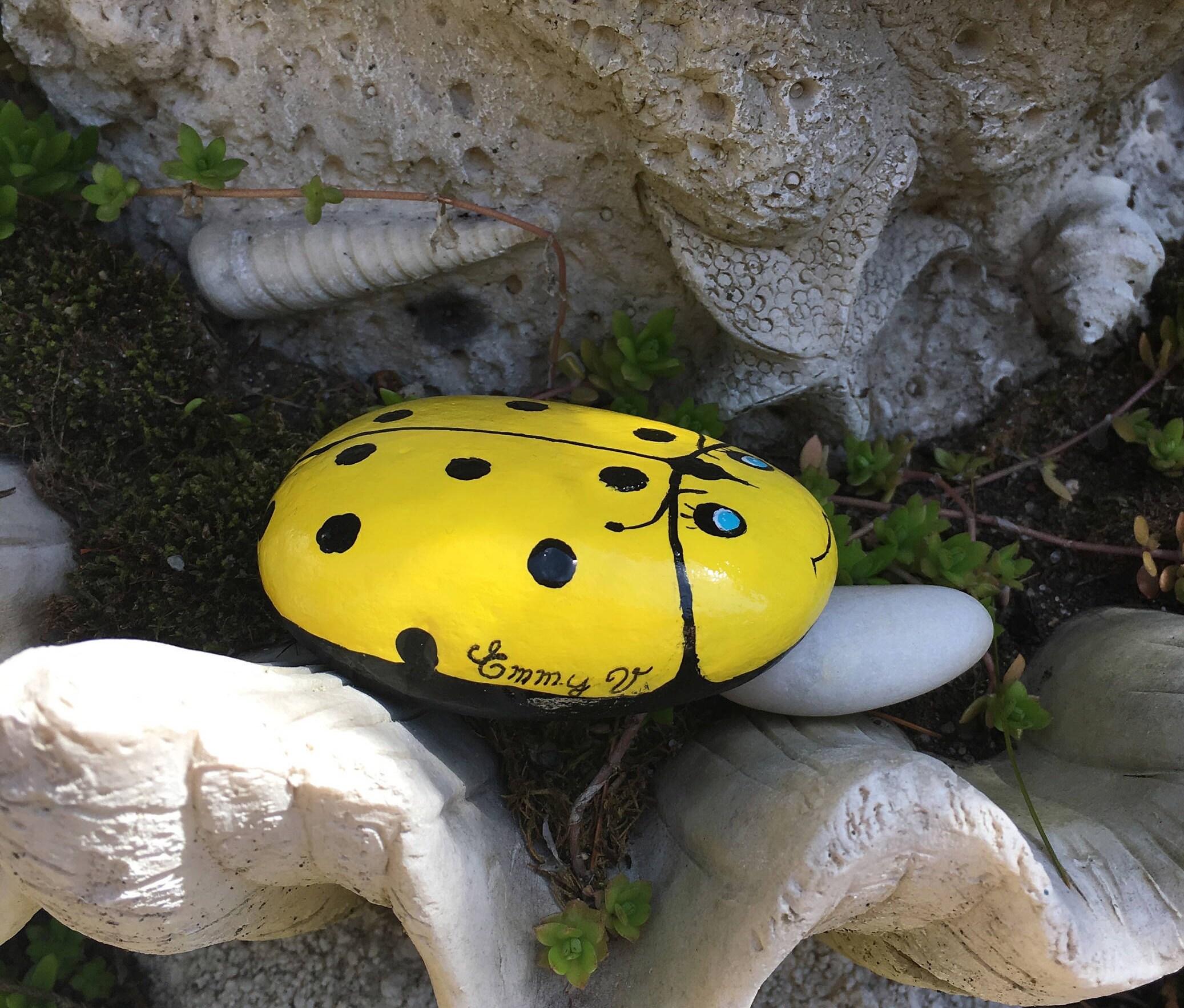 Cute Hand Painted Yellow Beetle Insect Stone - Etsy