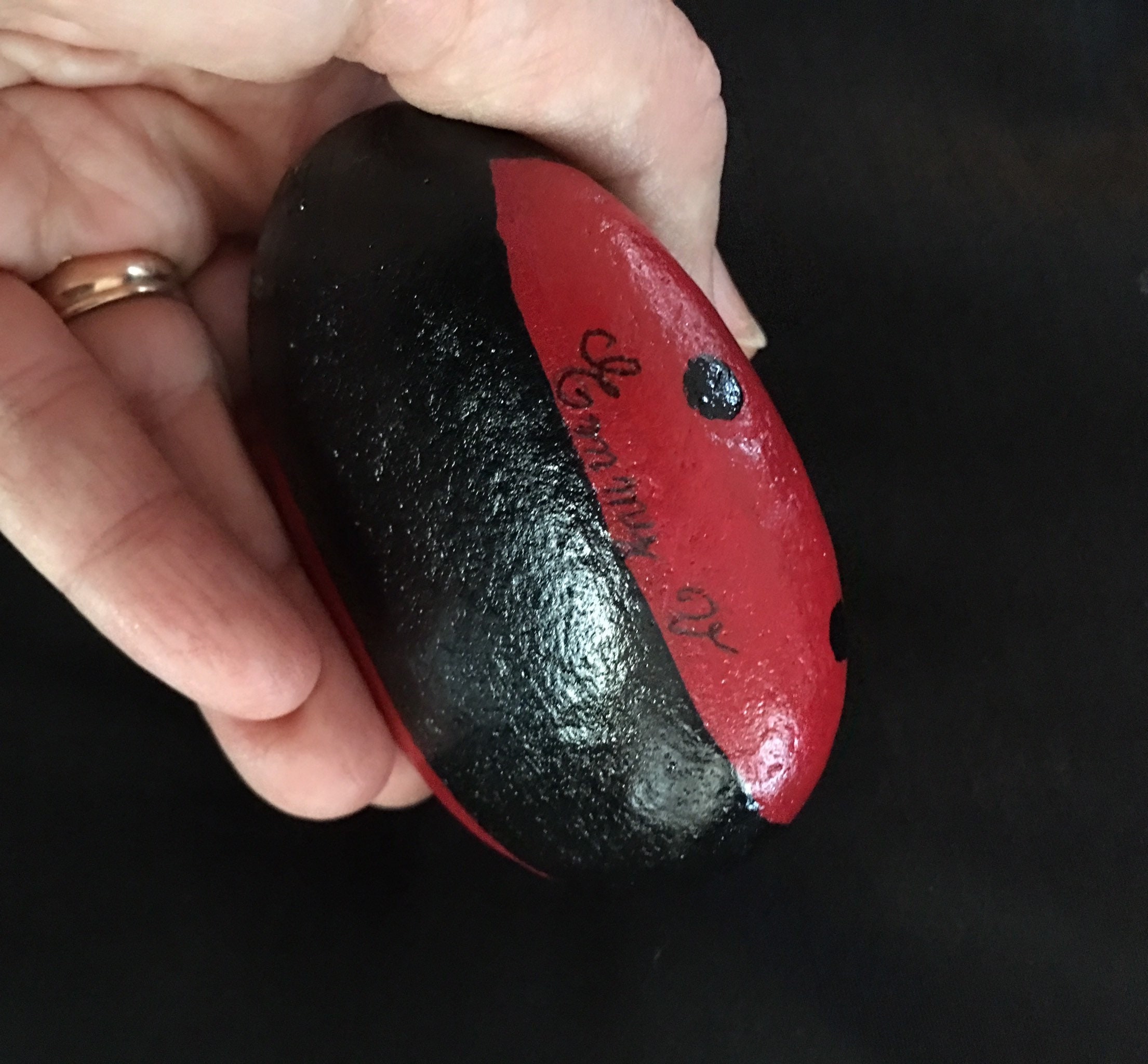 Hand Painted Cute Red Ladybug Stone - Etsy