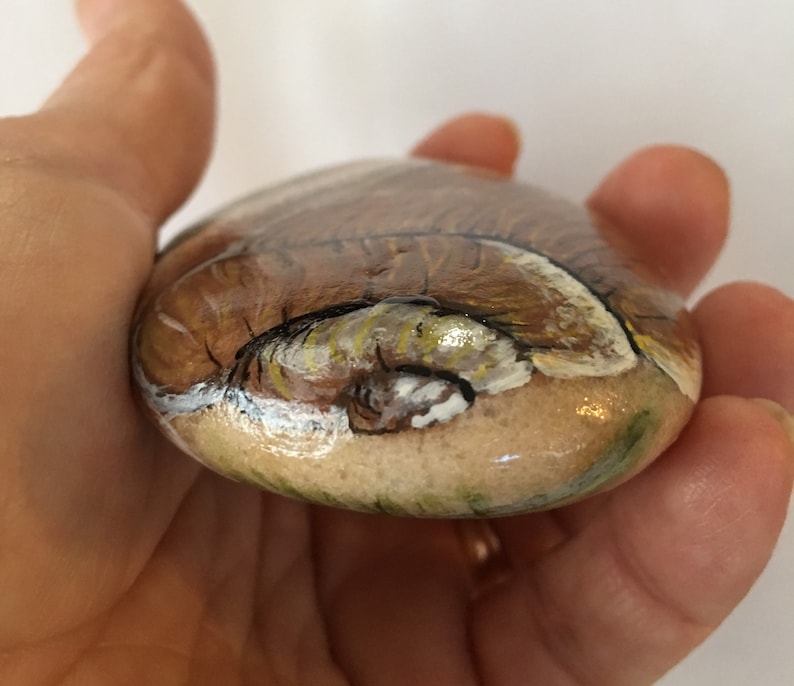 Hand Painted Garden Snail Stone - Etsy